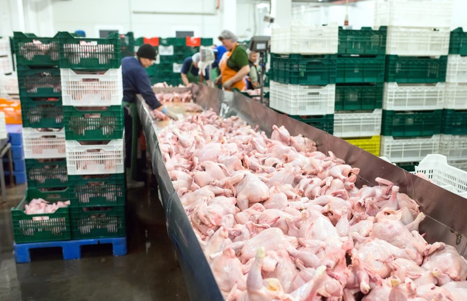 Workers’ Rights Project – North Carolina Justice Center